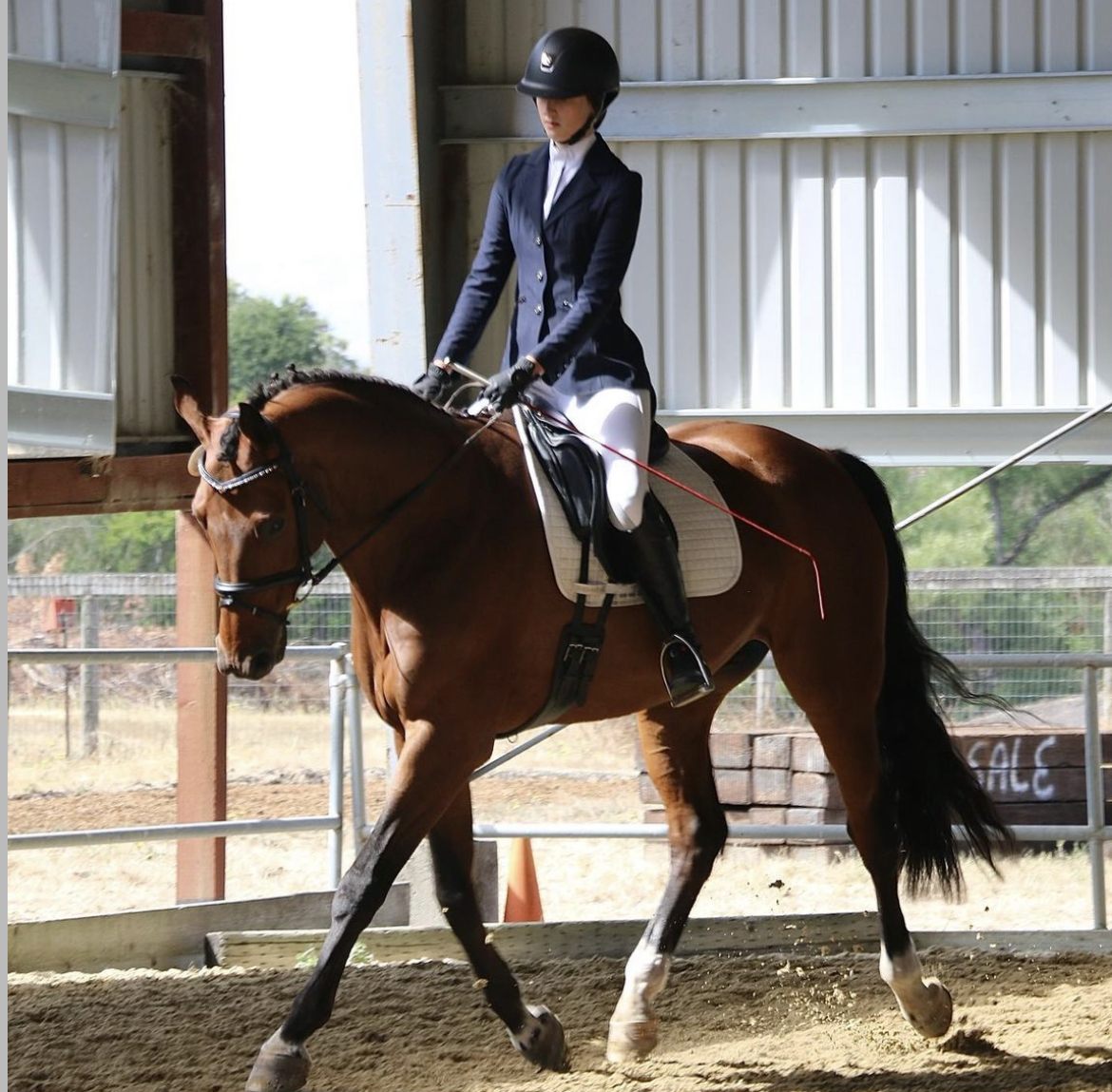 Ainsley Davis – Class of 2026