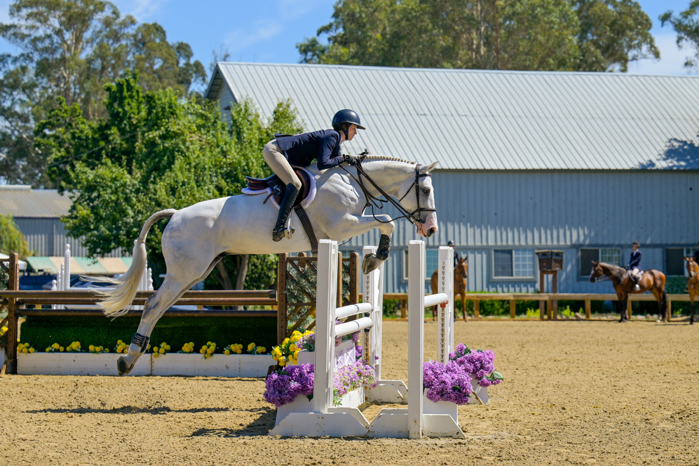 Ainsley Davis – Class of 2026