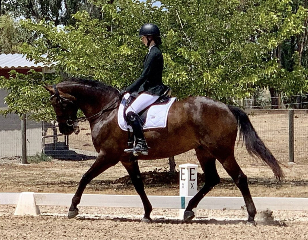 Ainsley Davis – Class of 2026